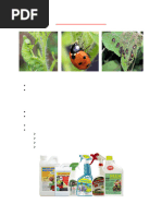 AOSA Rules For Testing Seed | PDF | Seed | Calibration