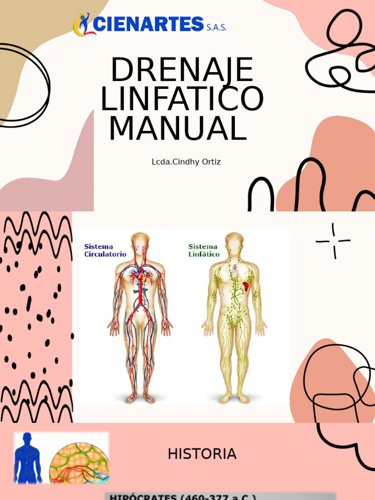 6.drenaje Linfatico | PDF | Sistema linfático | Sistema circulatorio