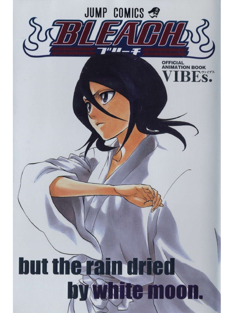 Bleach Vibes | PDF