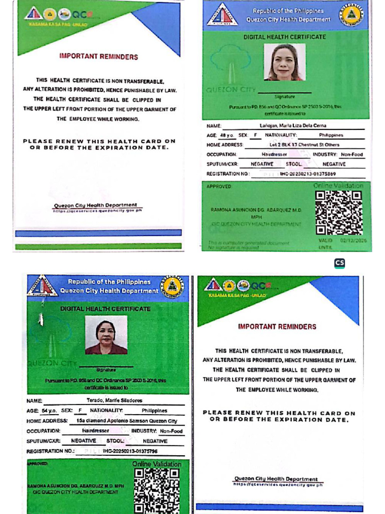 Digital Health Permit 2025 | PDF