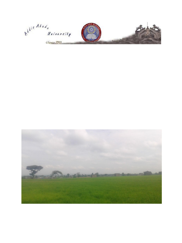 Tofik Mustefa | PDF | Case Study | Qualitative Research