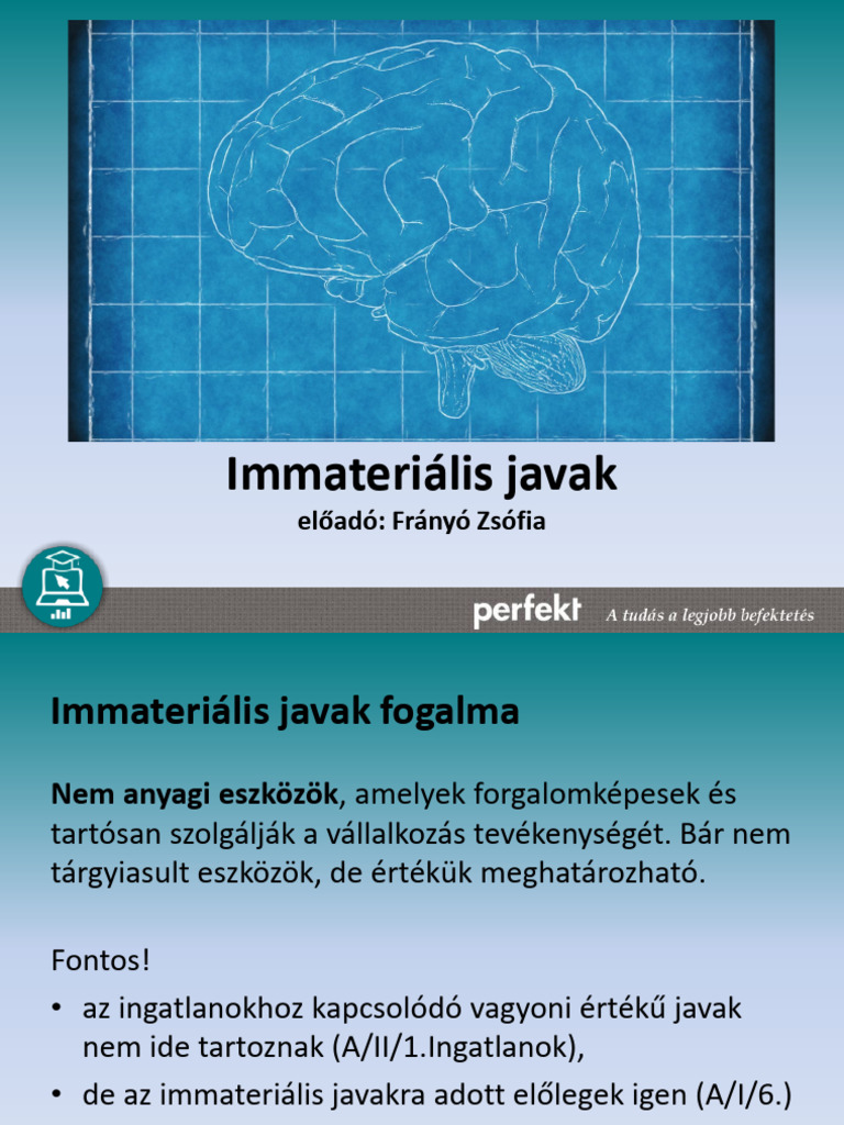 Immateriális Javat | PDF