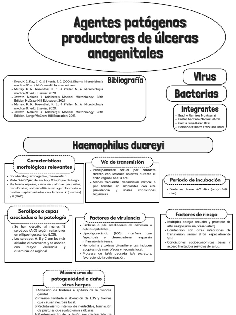 Presentación de Agentes Patogenos | PDF | Virus | Microbiología
