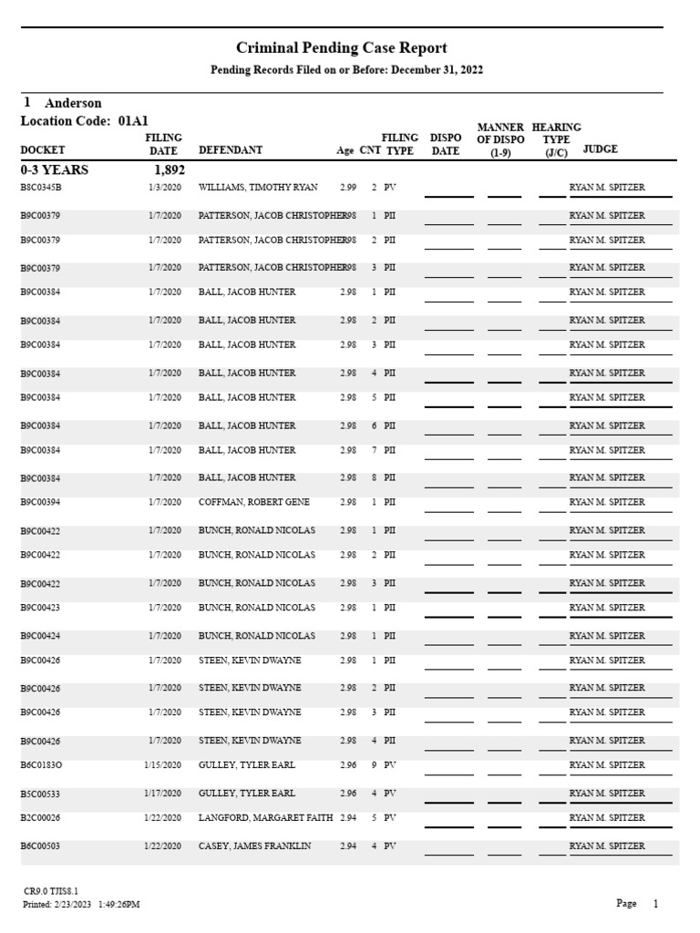 Criminal Case Report: Pending Records | PDF