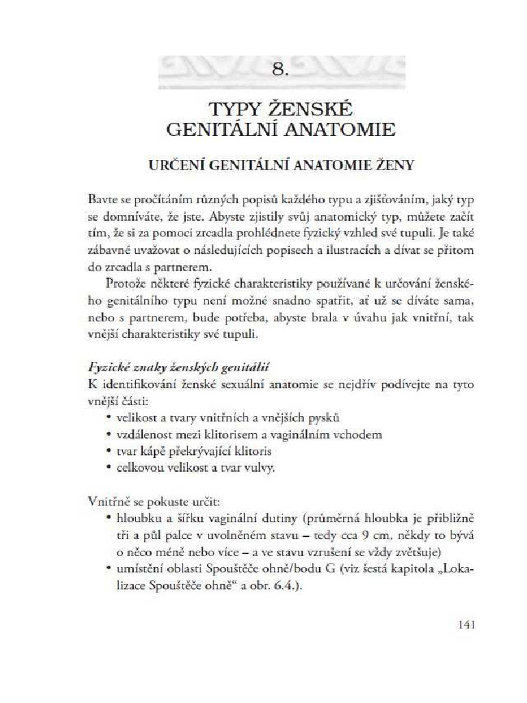 Z Int Typologie QD | PDF