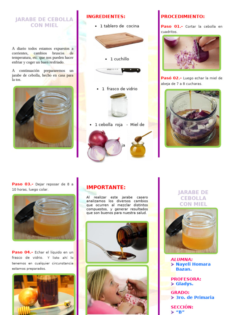 Jarabe Casero de Cebolla y Miel | PDF | Alimentos