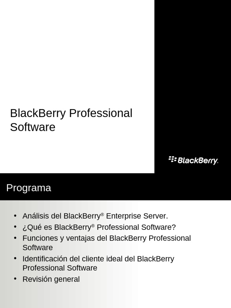 BlackBerry Professional Software (BPS) - V4 | PDF | Mora | Smartphone