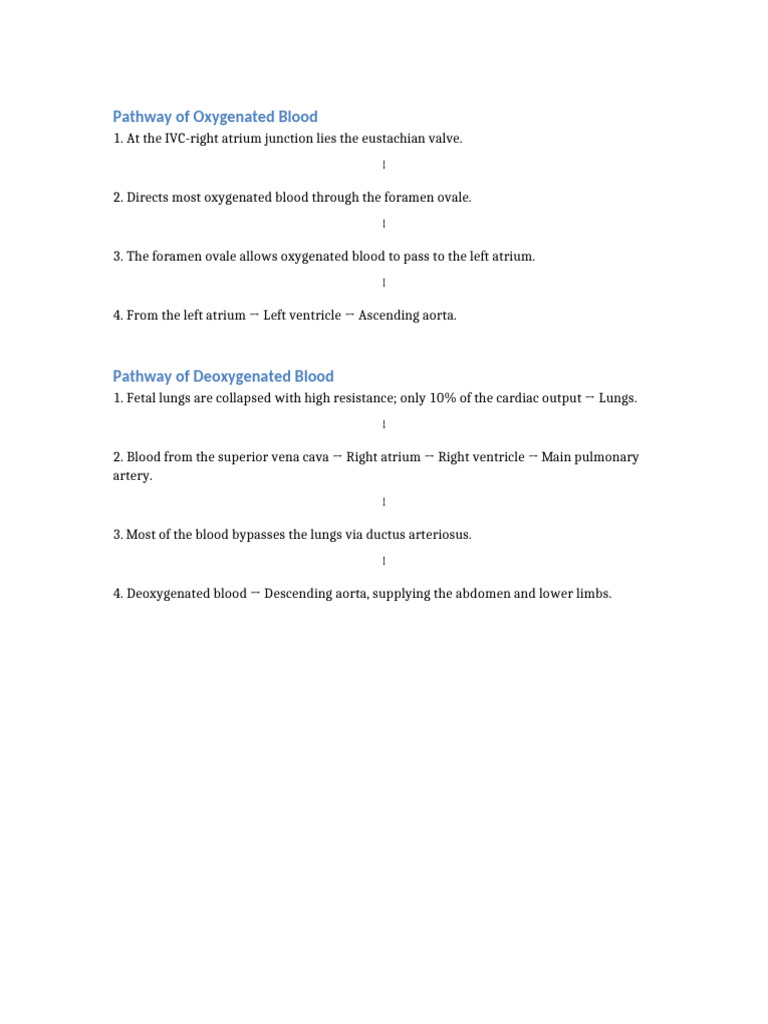 Fetal Circulation Pathways Explained | PDF