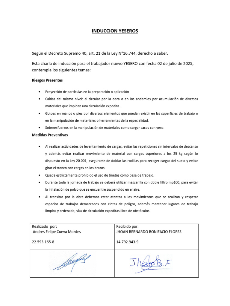 Induccion Boni | PDF