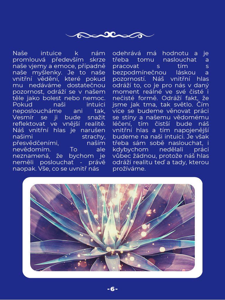 E Kniha Intuice 6 | PDF