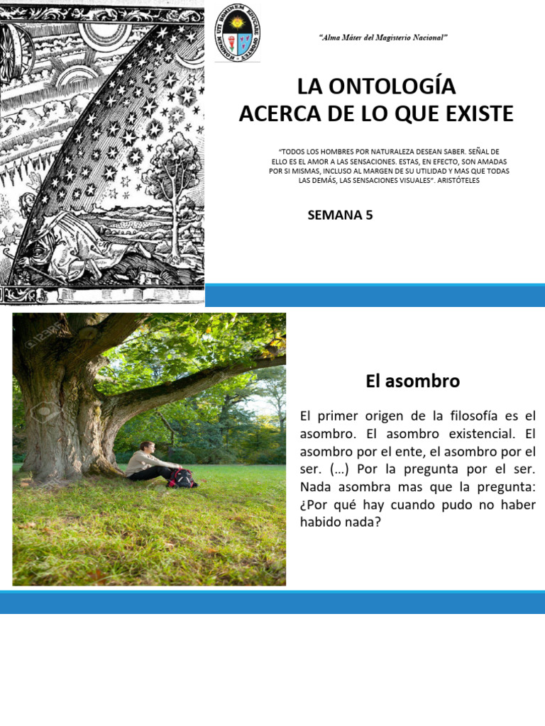 SEMANA 5 Ontología | PDF | Ontología | Realismo filosófico