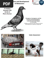 Fat Pigeons | PDF