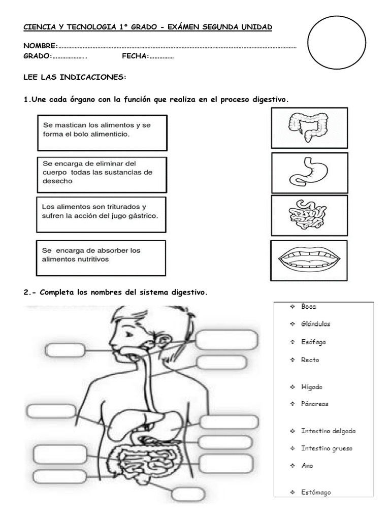 Examen de Ciencia y Tecnologia | PDF