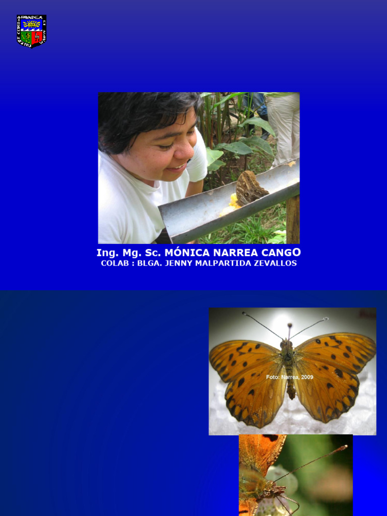 Siste 6 Lepidoptera | PDF | Lepidópteros | Polilla