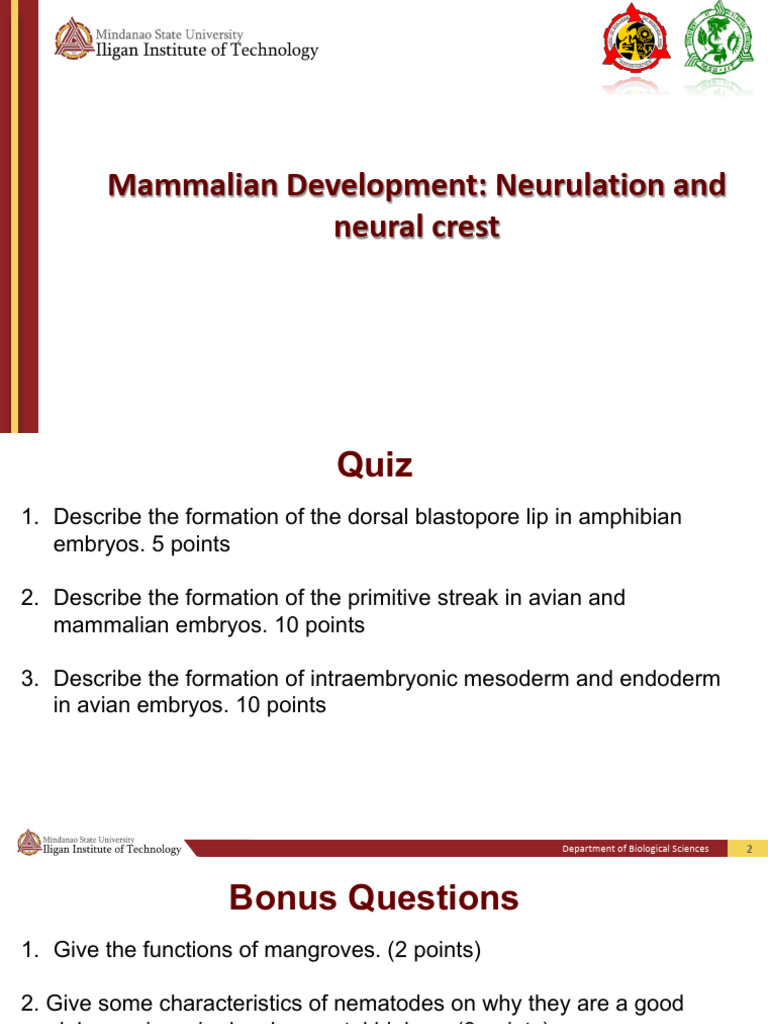 4-Neurulation and Neural Crest Cells | PDF | Nervous System ...