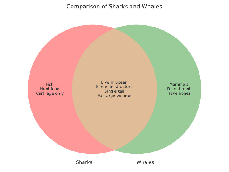 Sharks Vs Whales Venn Diagram | PDF