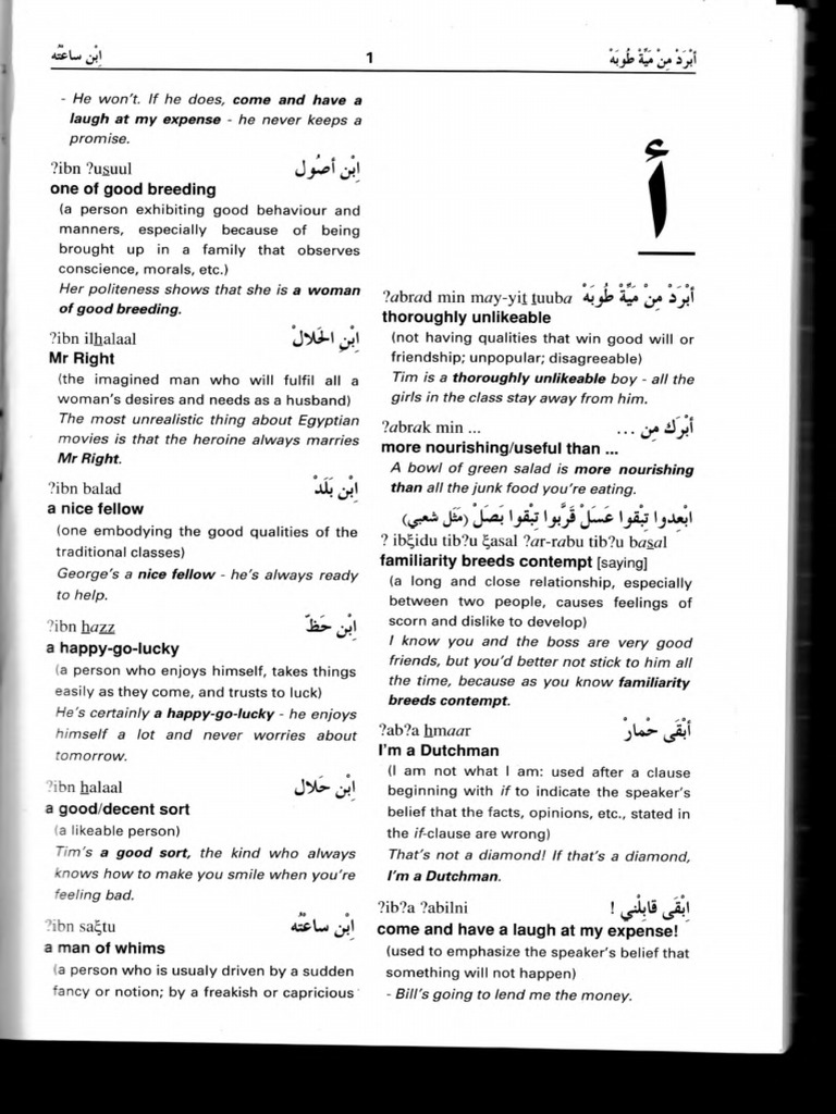 Idioms of Egyptian Arabic | PDF