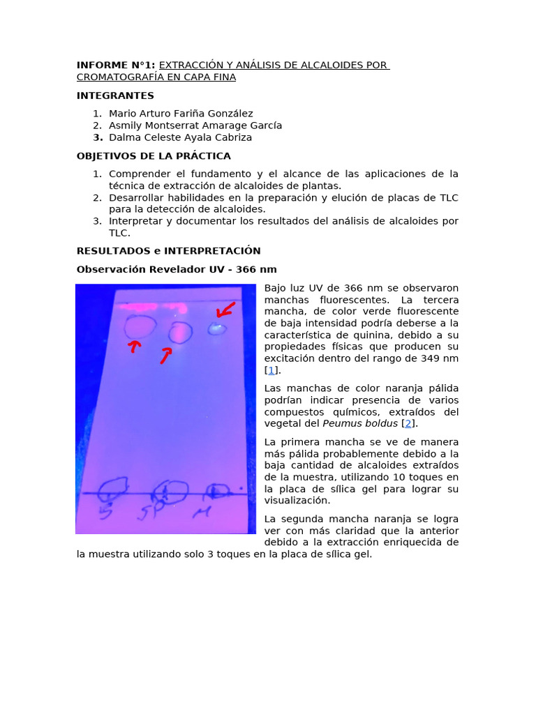 Informe de Fitoquímica P1 | PDF | Fluorescencia | Cromatografía