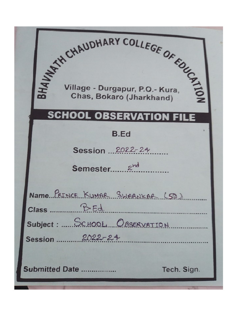 School Observation File | PDF