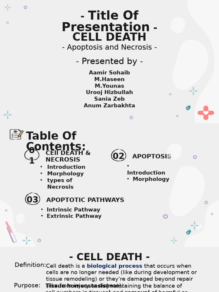 Presentation Cell Death | PDF | Apoptosis | Necrosis