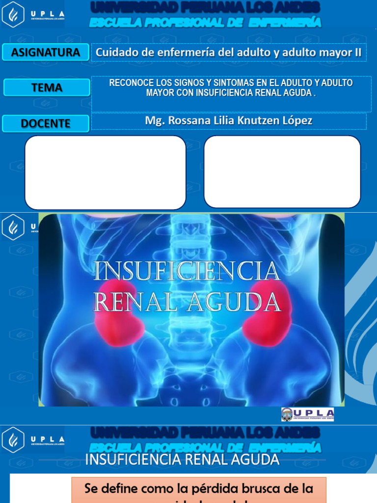 10 Ava Clase Adulto 25-I | PDF | Isquemia | Riñón