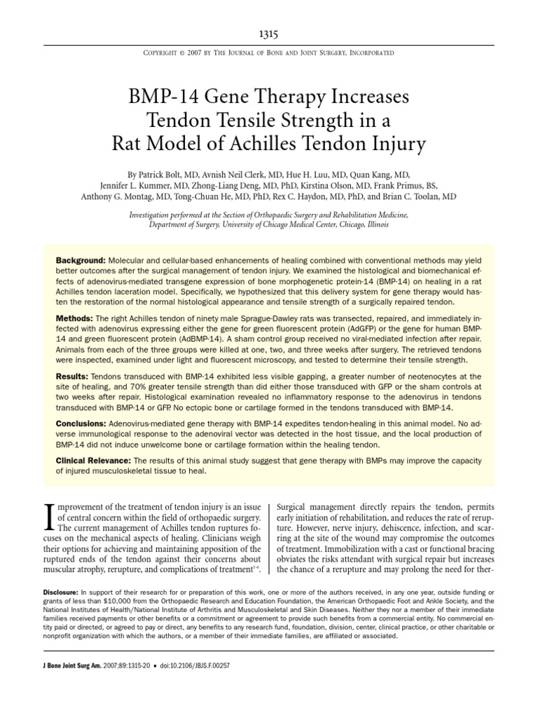 BMP-14 Gene Therapy Increases Tendon Tensile Strength in A Rat Model of ...