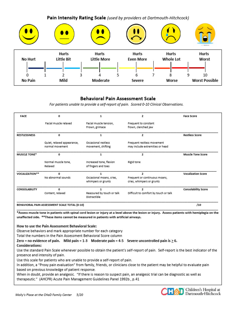 Behavioral Pain Assessment Scale Guide | PDF | Pain | Neurological ...