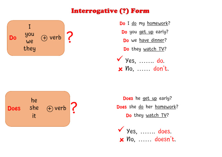Interrogative Present Simple | PDF