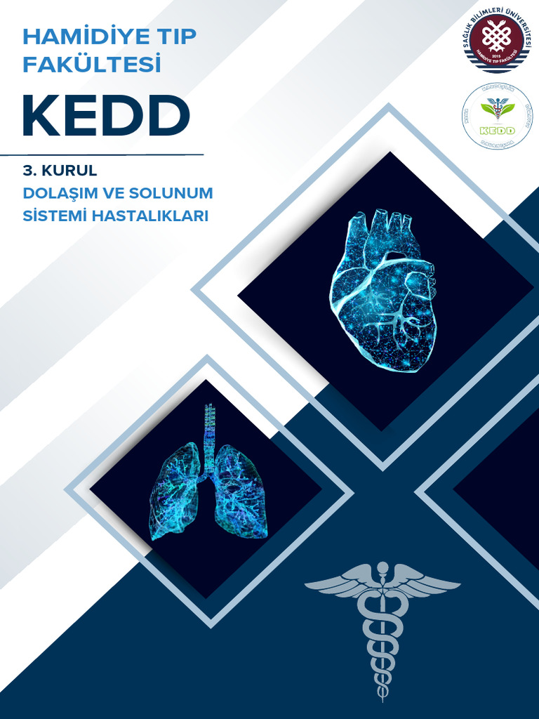 KEDD 3.kurul 2.hafta | PDF