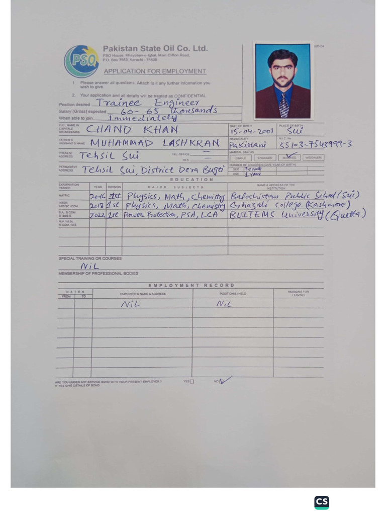 PSO, Application Form | PDF