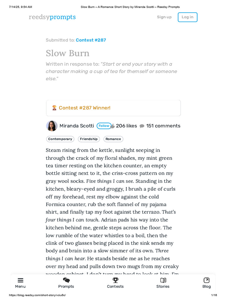 Slow Burn - A Romance Short Story by Miranda Scotti - Reedsy Prompts ...