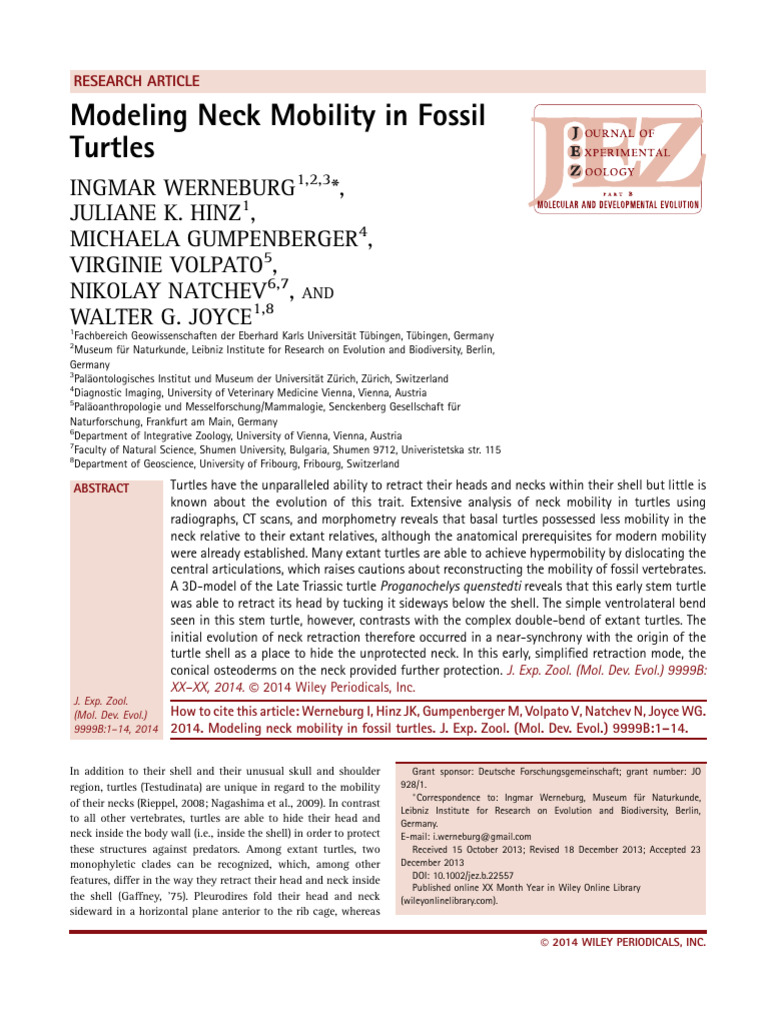 Modeling Neck Mobility in Fossil Turtles | PDF | Vertebra | Vertebral ...