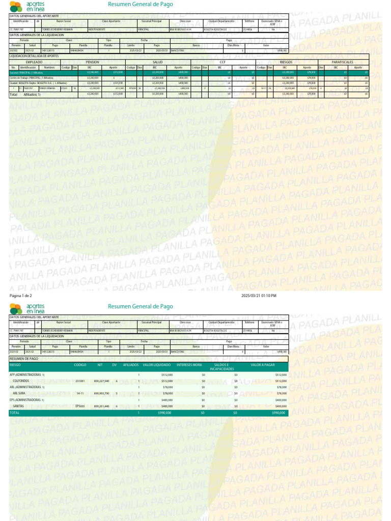 Planilla Febrero 2025 | PDF