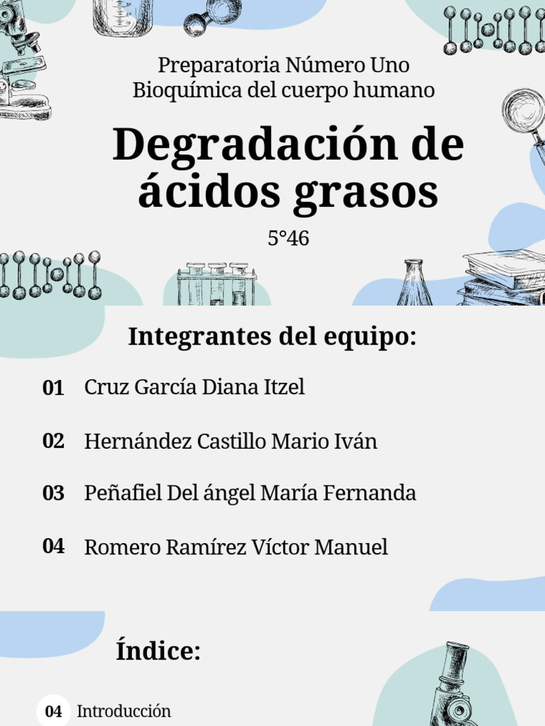 Presentación Ácidos Grasos | PDF | Trifosfato de adenosina | Ácido graso