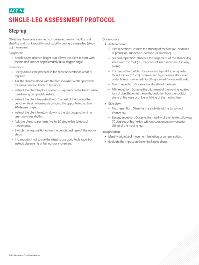24 Single Leg Assessment Protocol | PDF | Anatomical Terms Of Motion ...