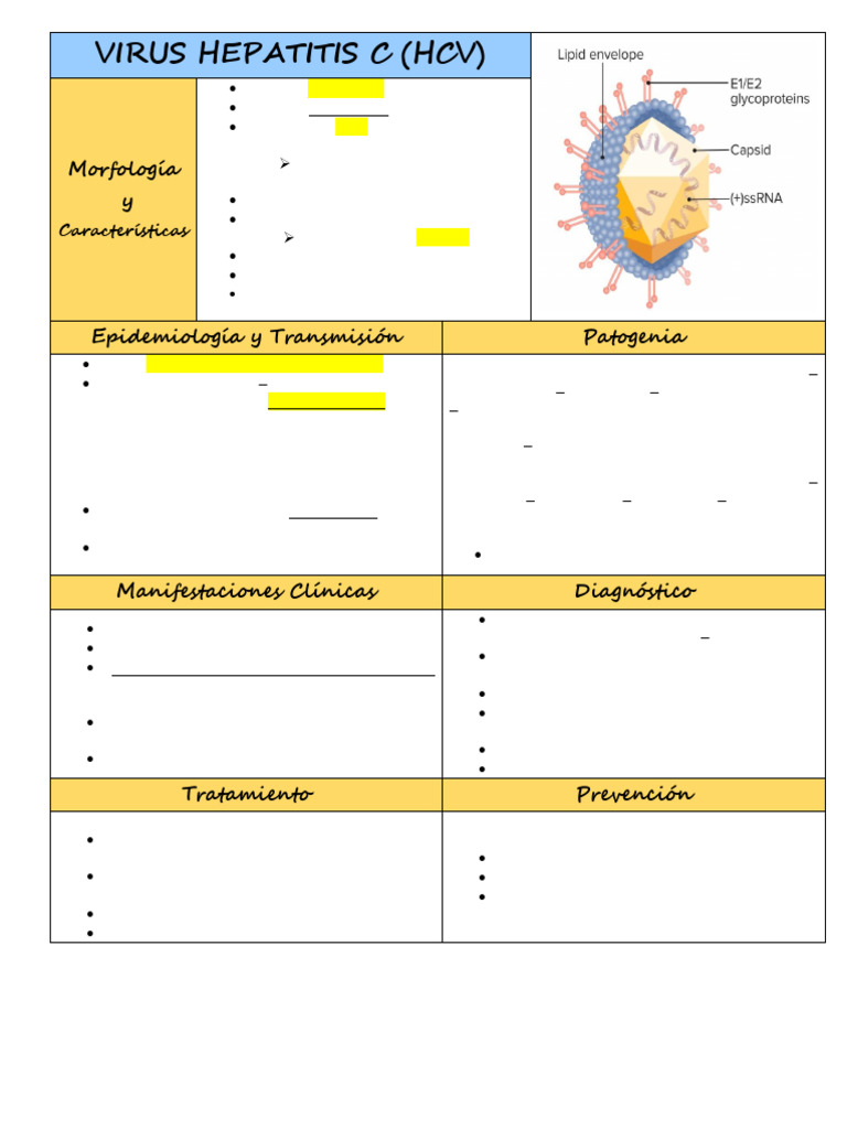 Características y Tratamiento del HCV | PDF | Hepatitis | Virus de la ...