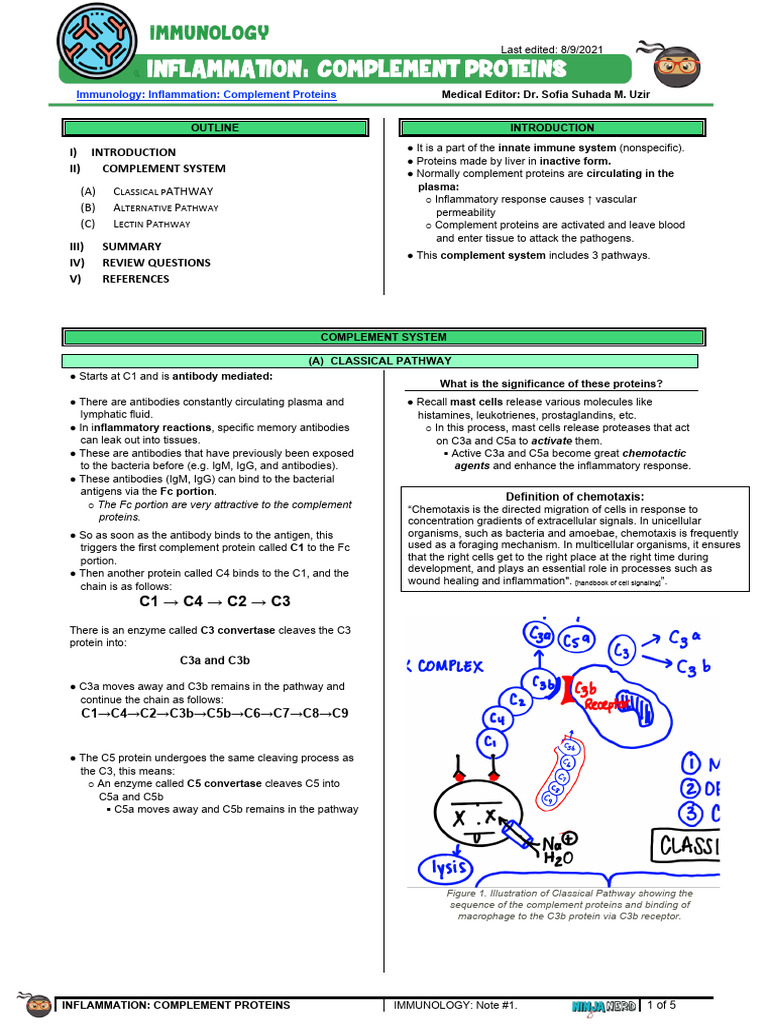 Inflammation - Complement Proteins - Part 3 (2) Atf | PDF | Complement ...