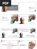 Anatomia da Tuberosidade Massetérica | PDF | Tecido macio | Sistema ...