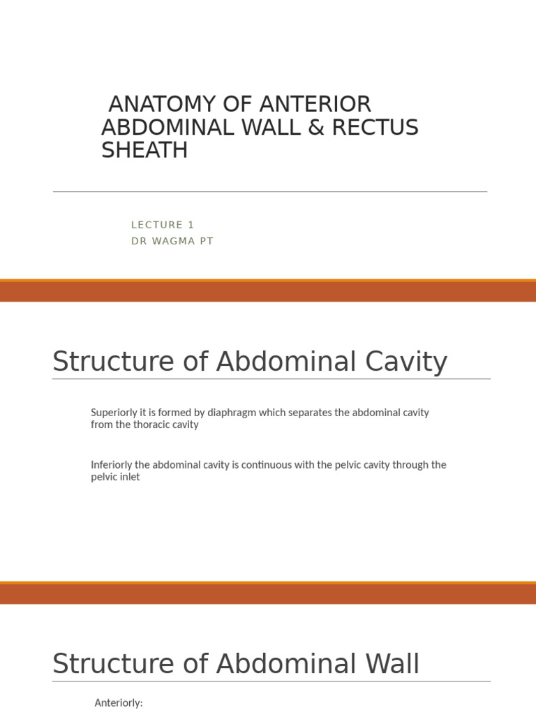 Anatomy of the Midclavicular Line | PDF | Abdomen | Musculoskeletal System