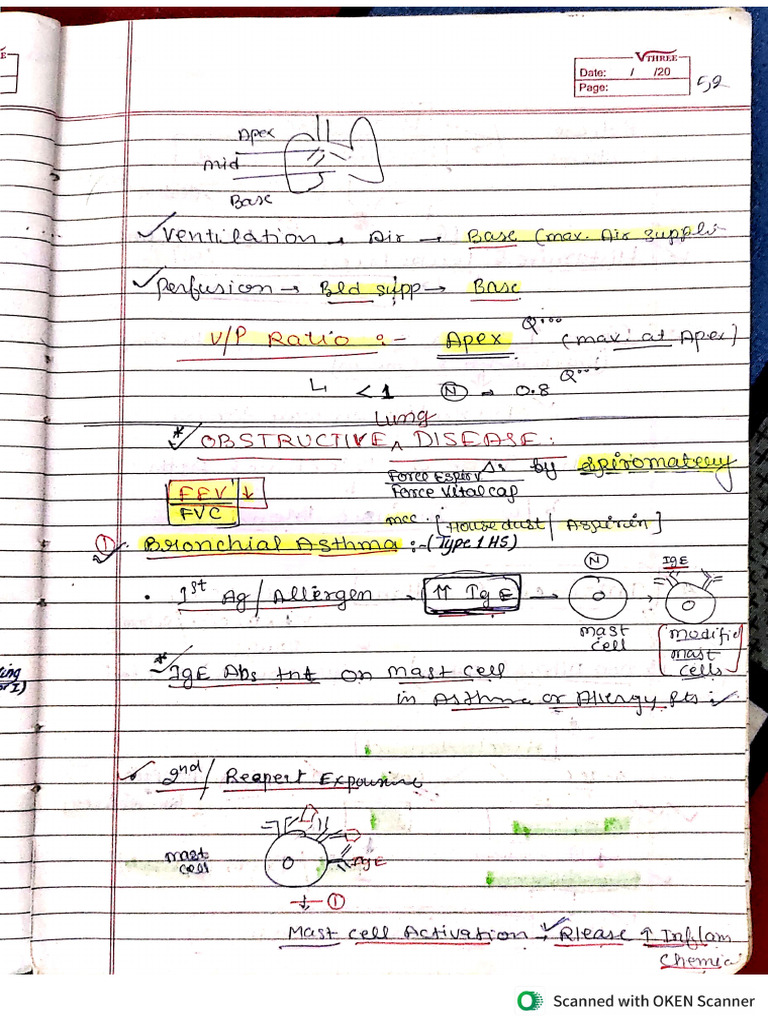 Asthma Notes Myyy | PDF