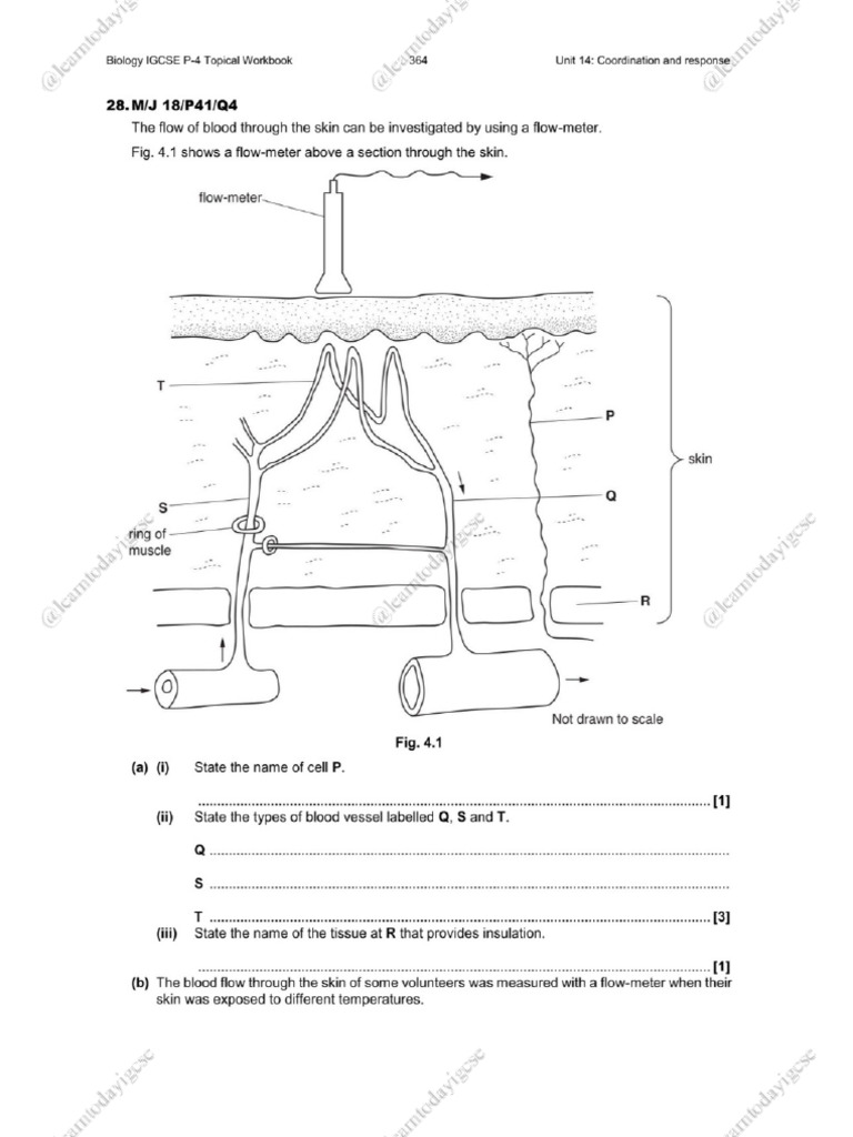 IGCSE Biology - Paper 4 (Topical Questions & Answers 2 | PDF