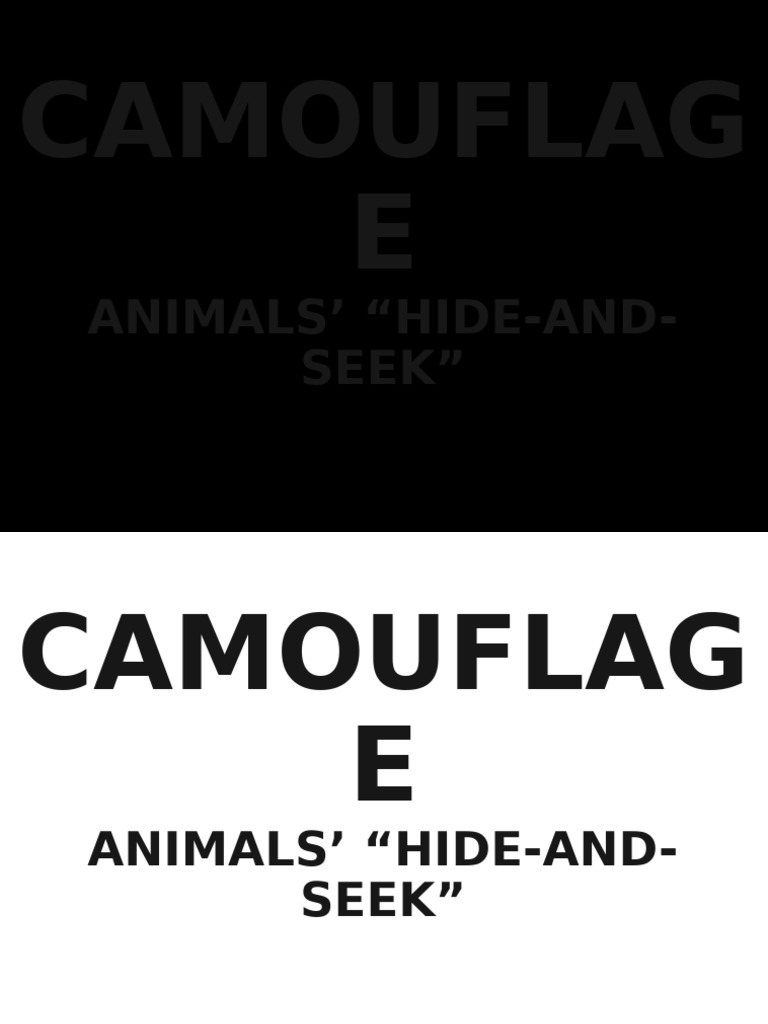 CAMOUFLAGE | PDF