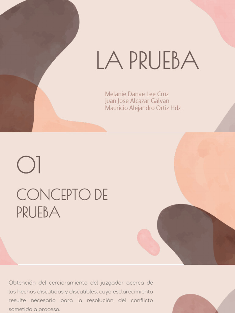 Documento de Ale | PDF | Evidencia (ley) | Caso de ley