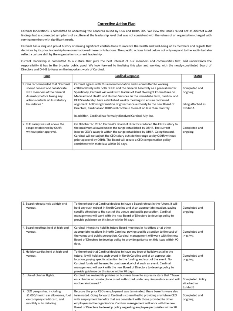 Corrective Action Plan Template 15 | PDF | Employment | Economies
