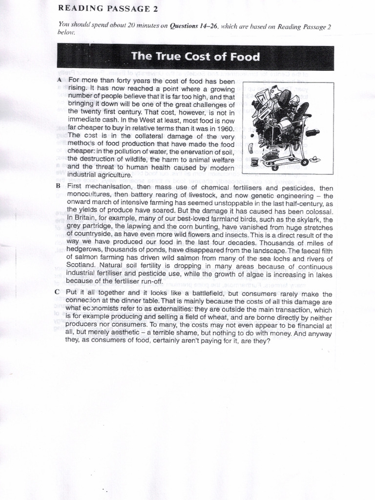 Reading Part 2 | PDF