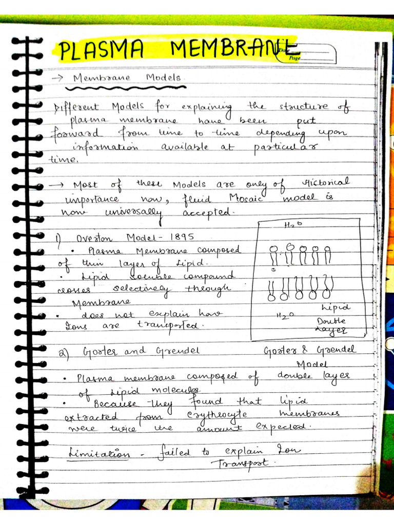 Cell Biology Plasma Membrane | PDF
