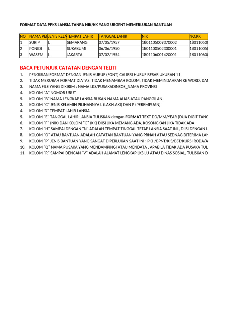 Format PPKS 2021 Lansia | PDF