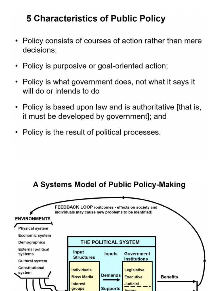 5 Characteristics of Public Policy | PDF