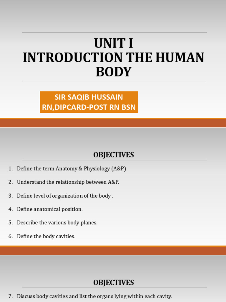 Understanding Gross Anatomy Basics | PDF | Anatomical Terms Of Location ...