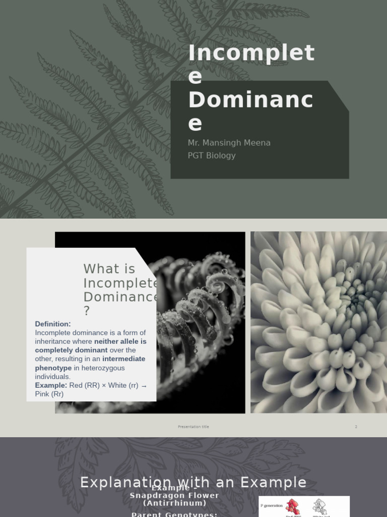 Incomplete Dominance in Genetics | PDF